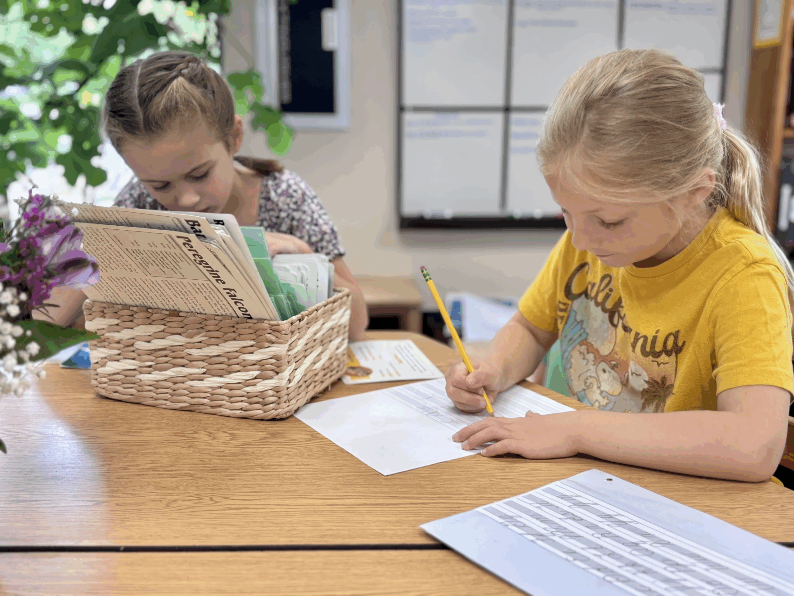 Cursive Handwriting Boosts Brain Development in Children